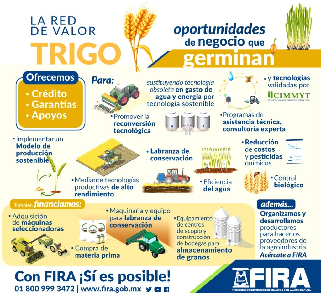 Anuncia FIRA ampliación de la inclusión financiera al medio rural ...
